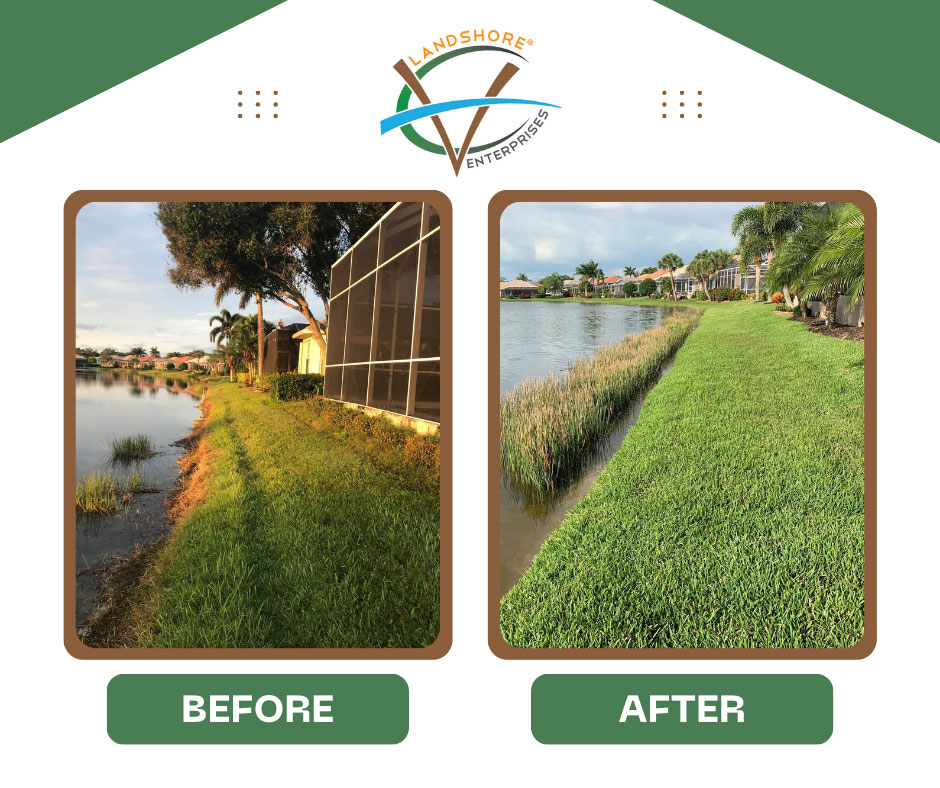 How Does Shoreline Erosion Occur? - Landshore Enterprises